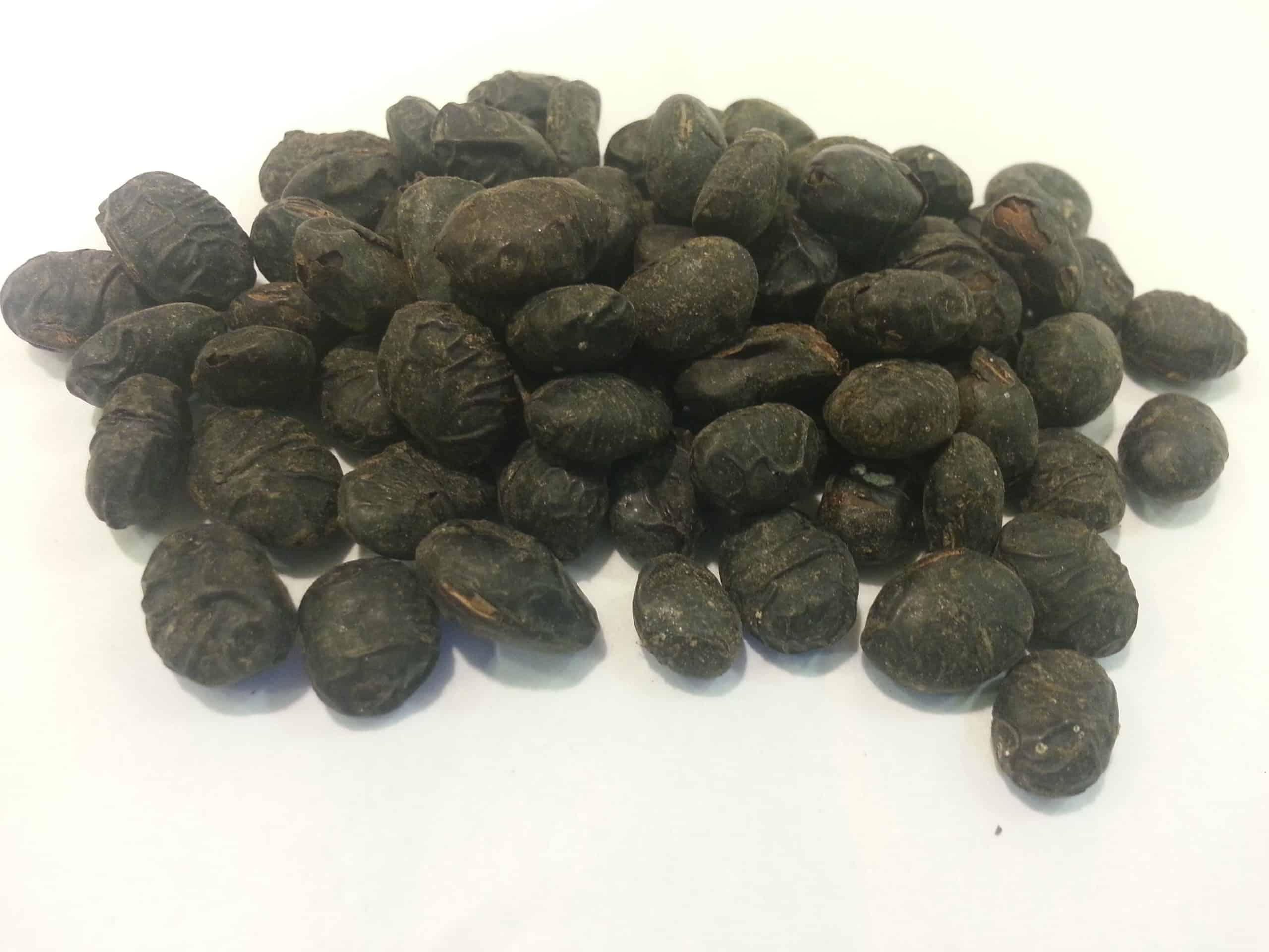 DAN DOU CHI | ברא צמחים