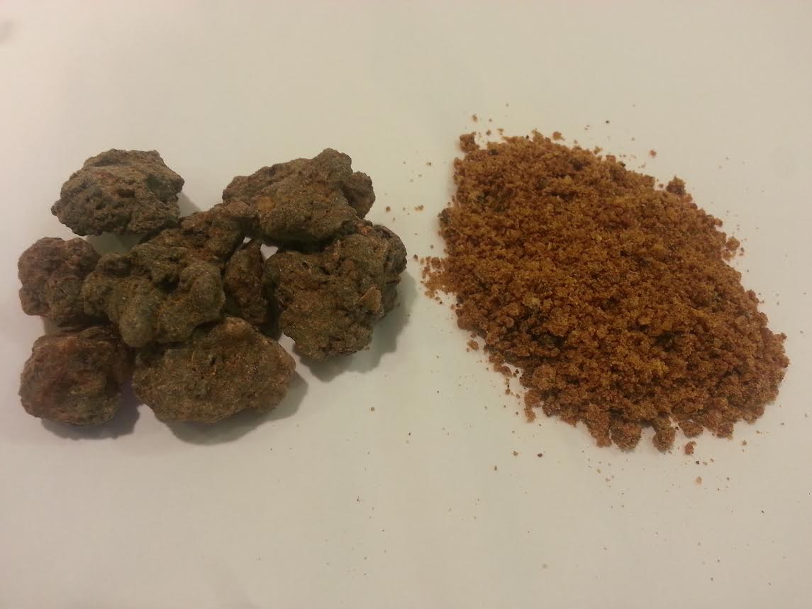 MO YAO | ברא צמחים