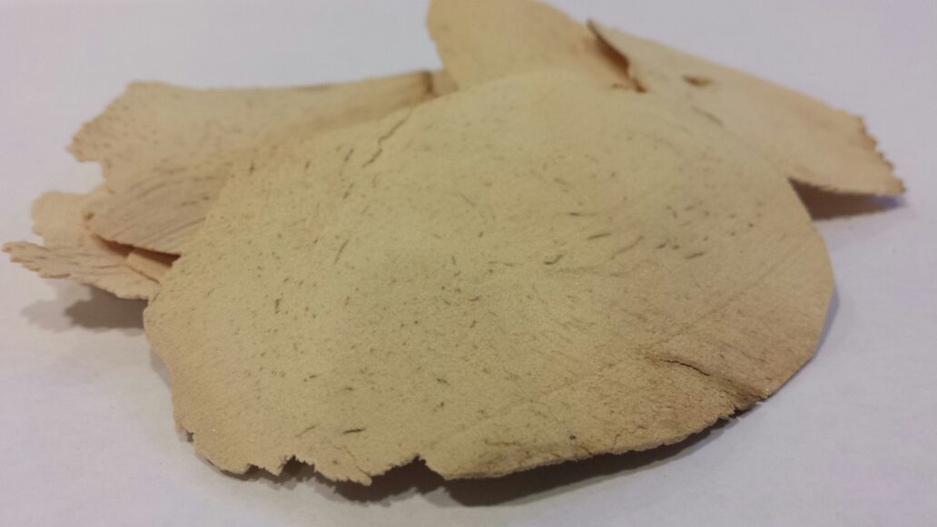 TU FU LING | ברא צמחים