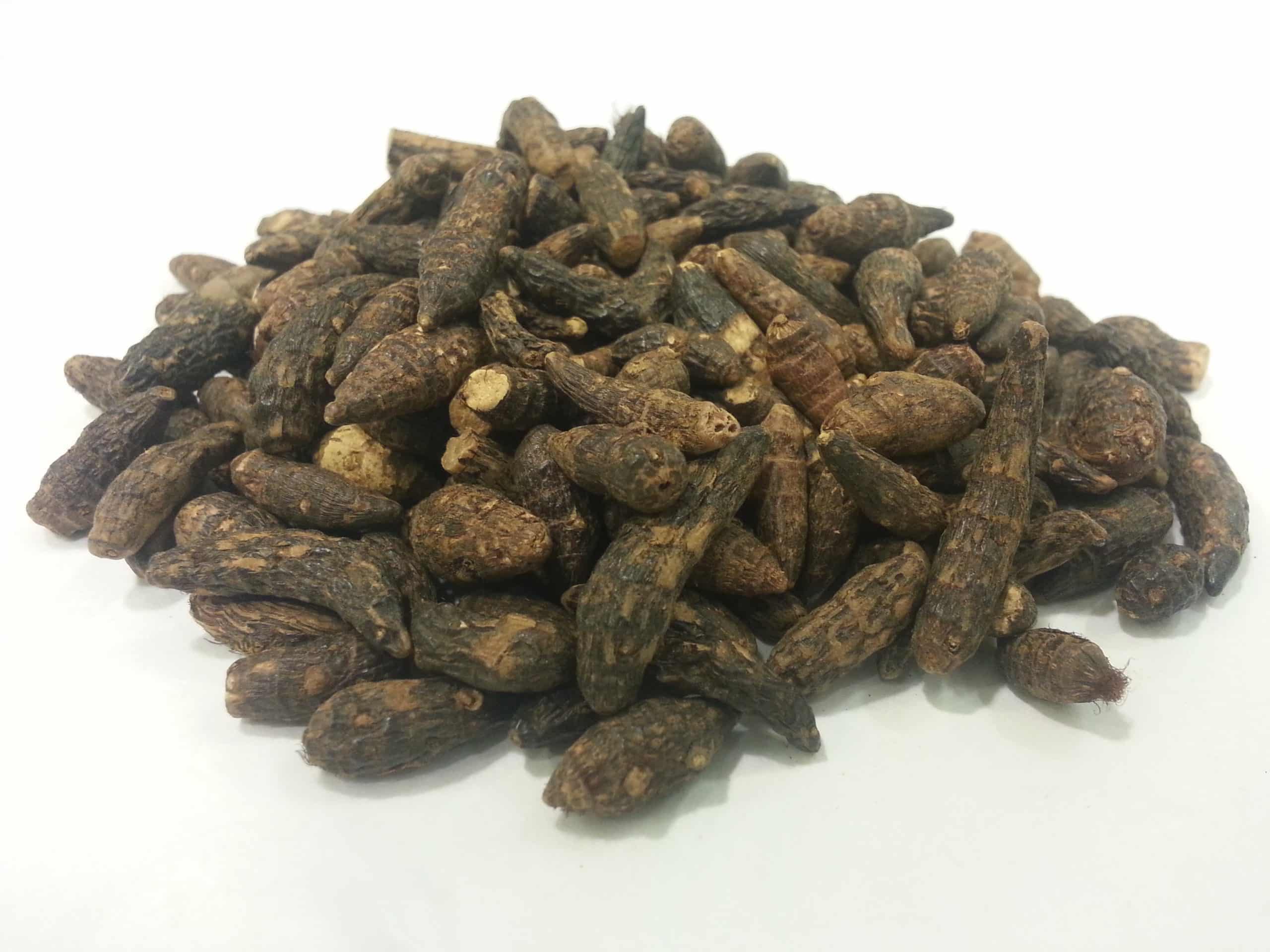 XIANG FU | ברא צמחים