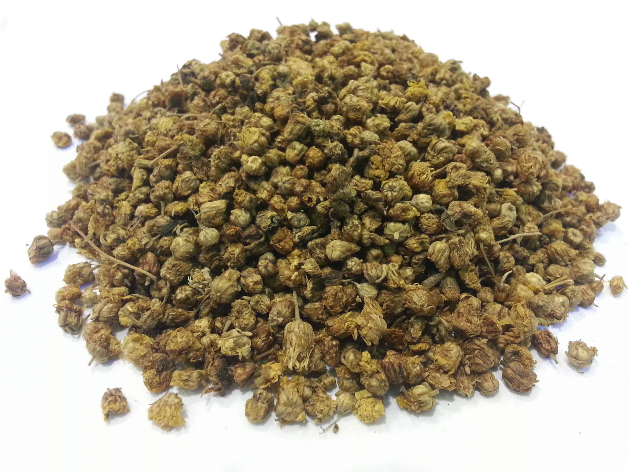 YE JU HUA | ברא צמחים