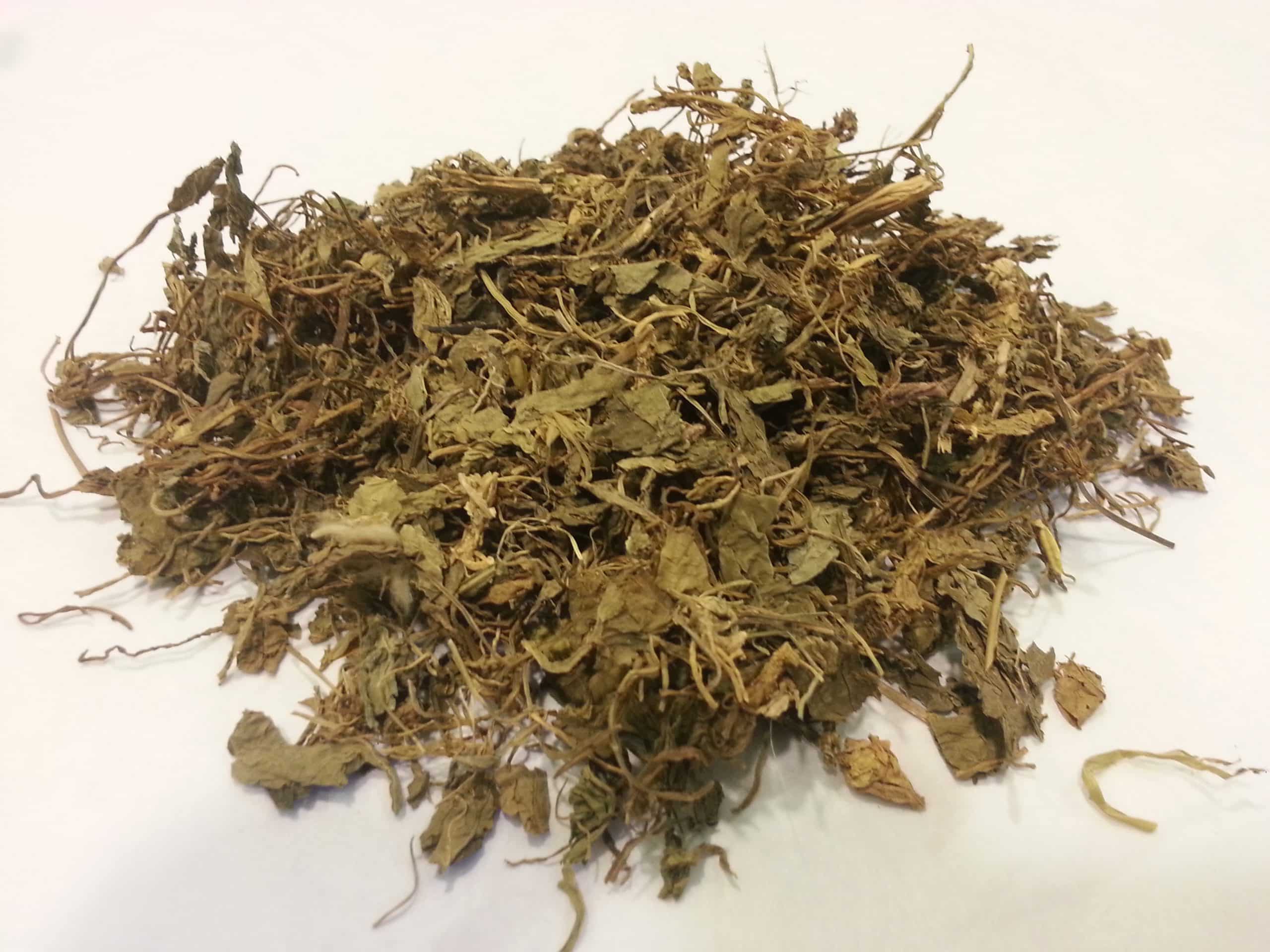 ZI HUA DI DING | ברא צמחים