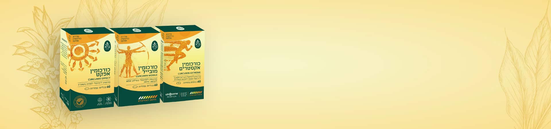 עמוד הבית | bara