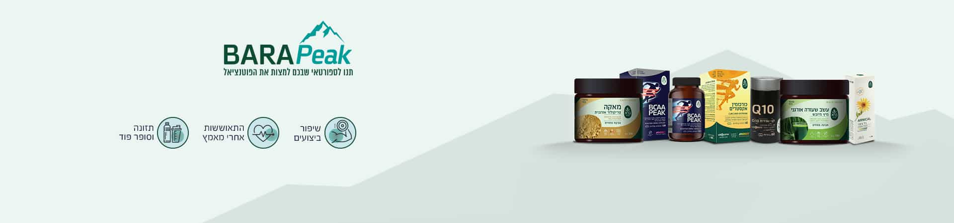 עמוד הבית | bara